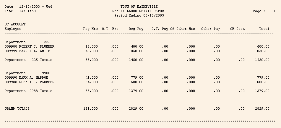Weekly Labor Detail Report Sample